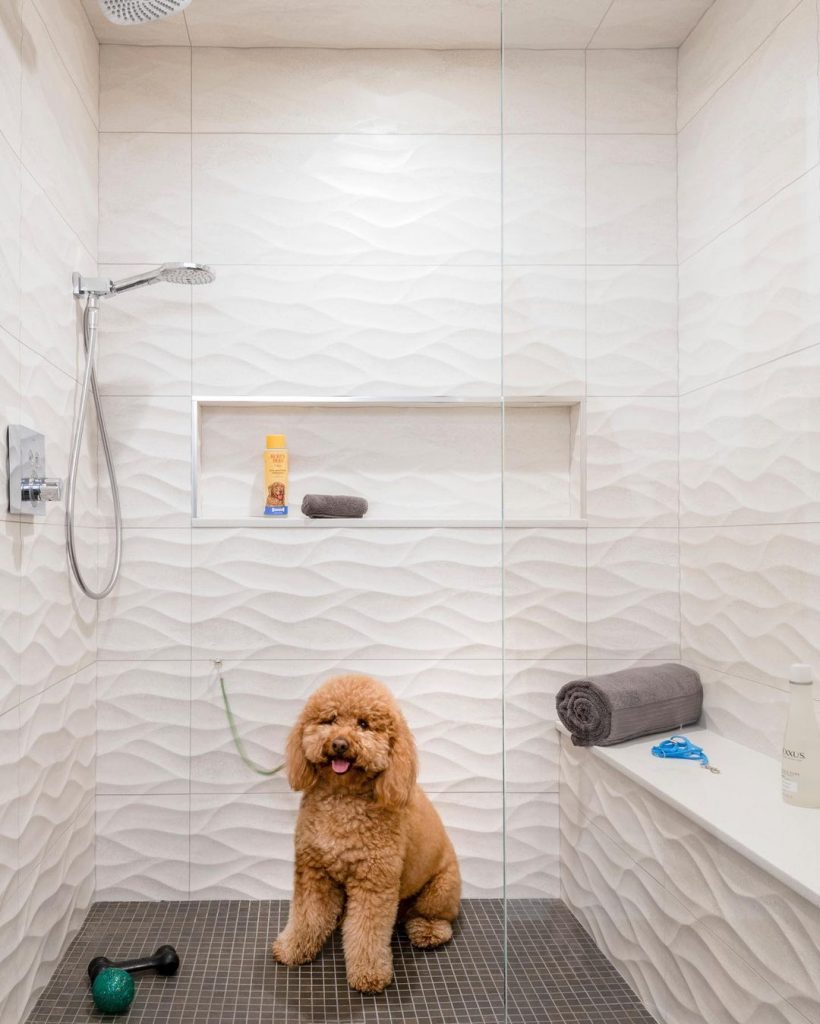 17 Lovely Shower Bench Ideas For Every Bathroom